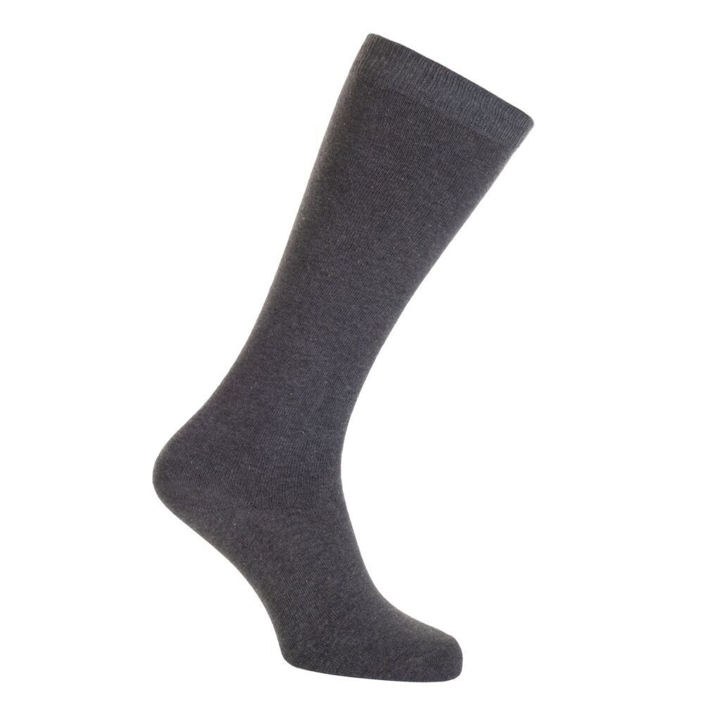 School Socks – Gregory Pollard